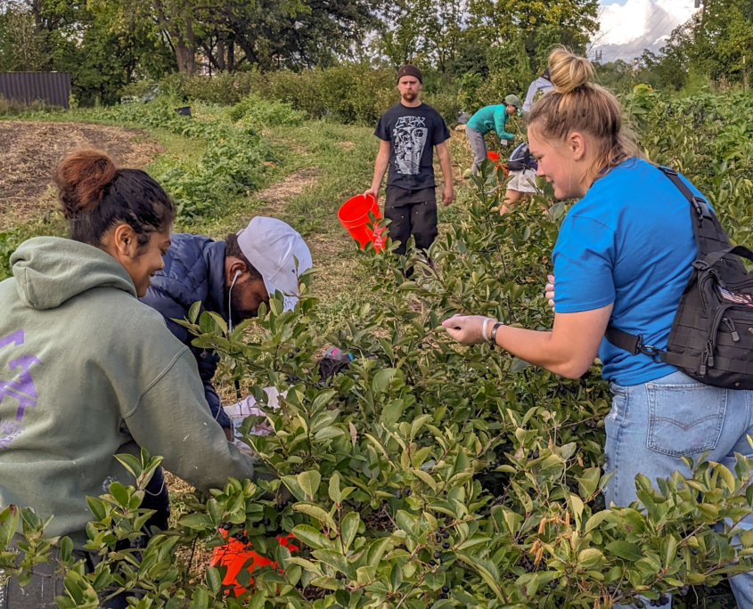 Armed to Farm – Sustainable Agriculture Training For Military Veterans